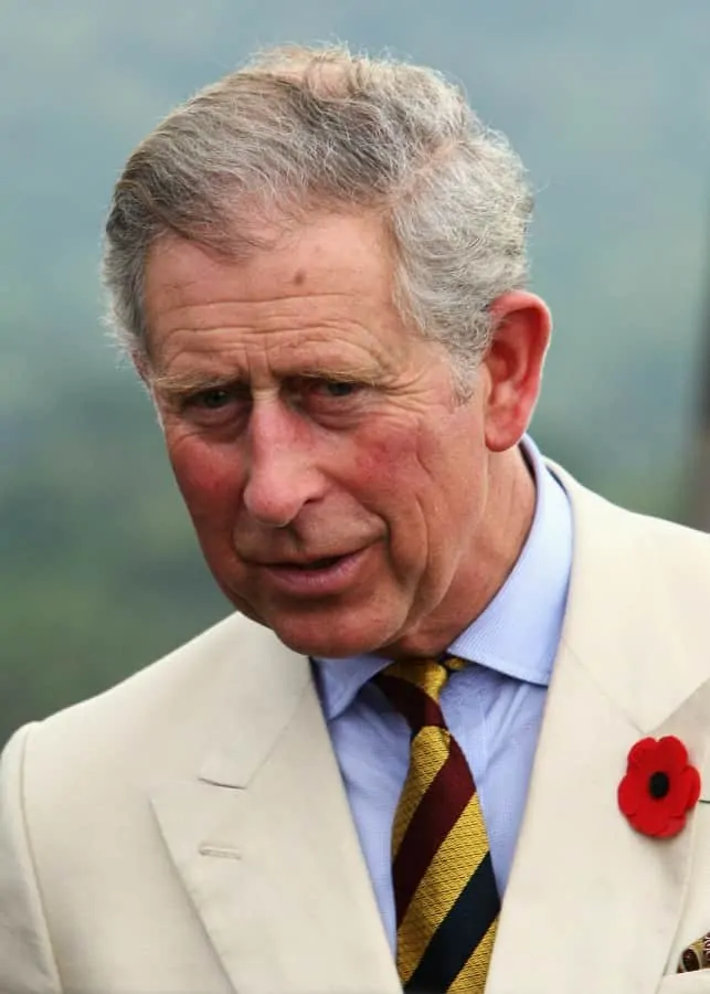 BIG And Tall Men's Clothing & Suit Style Tips For Shorter, Chubby Guys