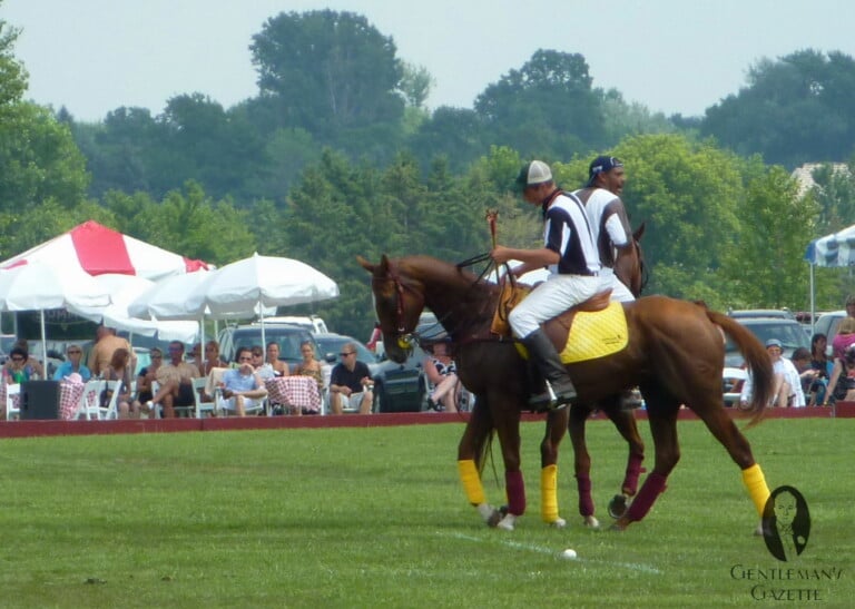 Polo Play - Introduction To An Ancient Sport | Gentleman's Gazette