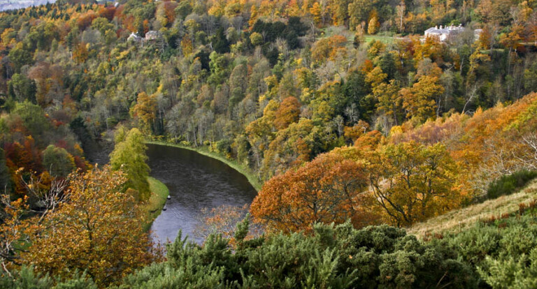 Tweed Guide - The Story Of Harris, Saxony, Donegal... Tweed