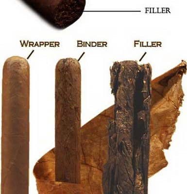 The Cigar Guide I – History, Making & Humidors
