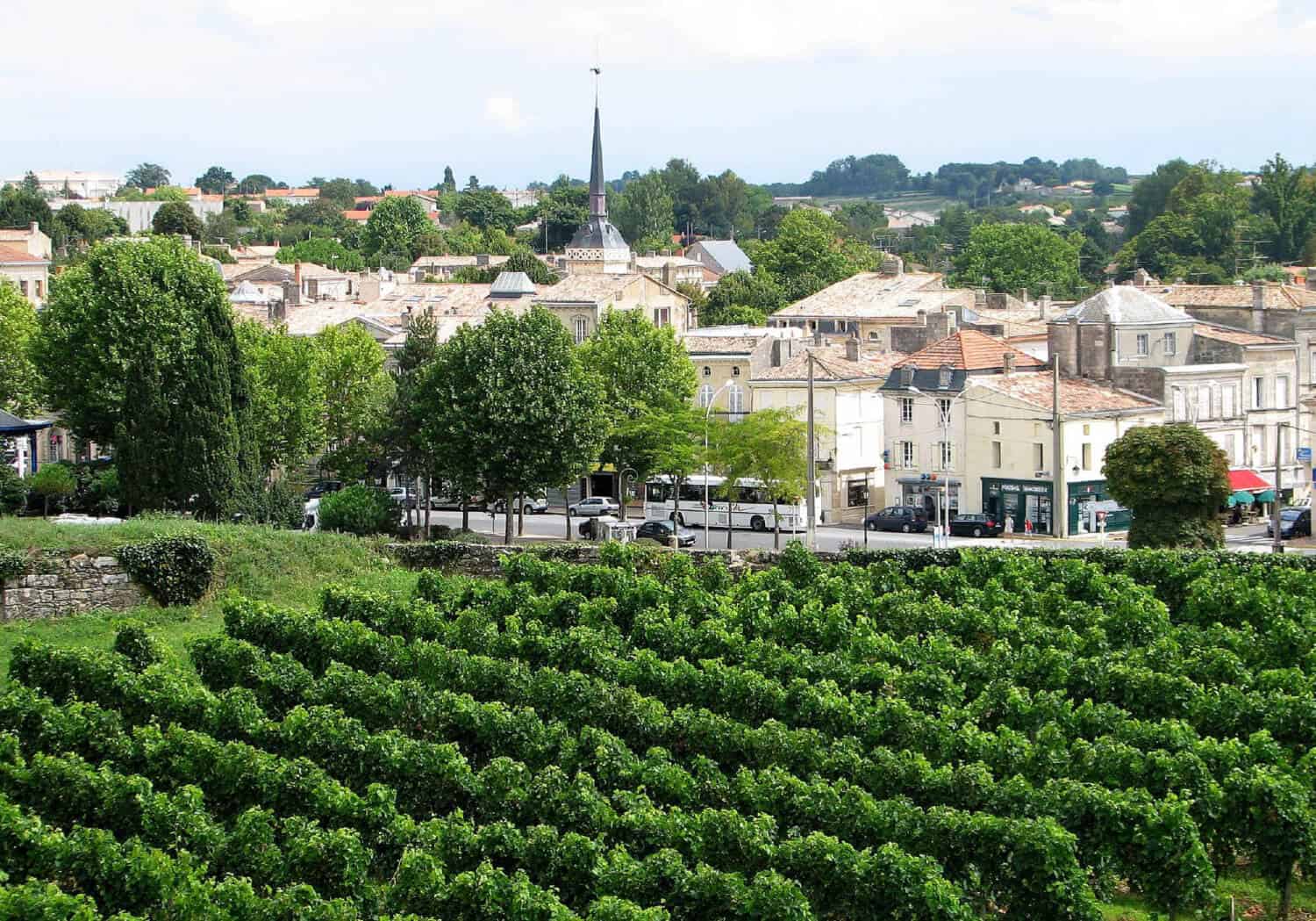 The Bordeaux Wine Primer