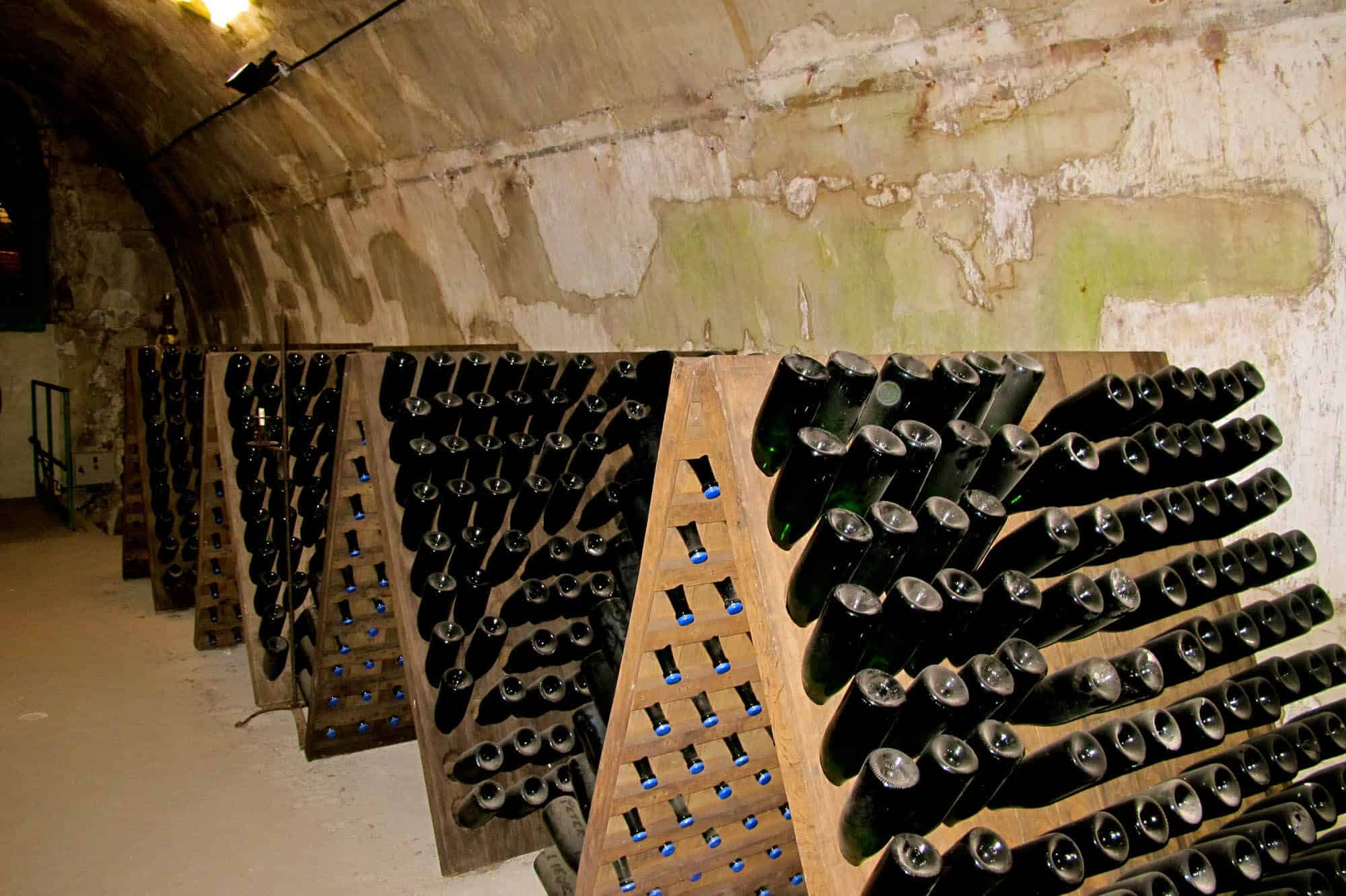 Champagne Primer For Gentlemen